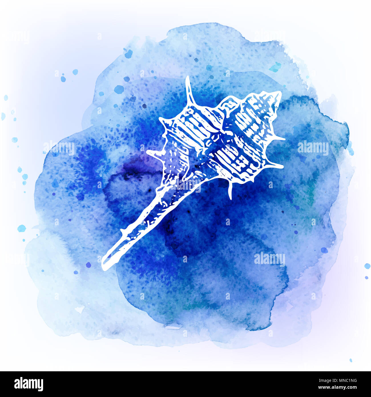 Seashells on watercolor blue background. Sea background Stock Photo - Alamy