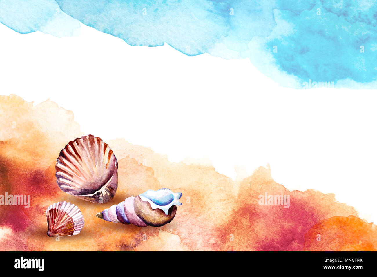 Watercolor illustration of a sea shells on a beach Stock Photo - Alamy