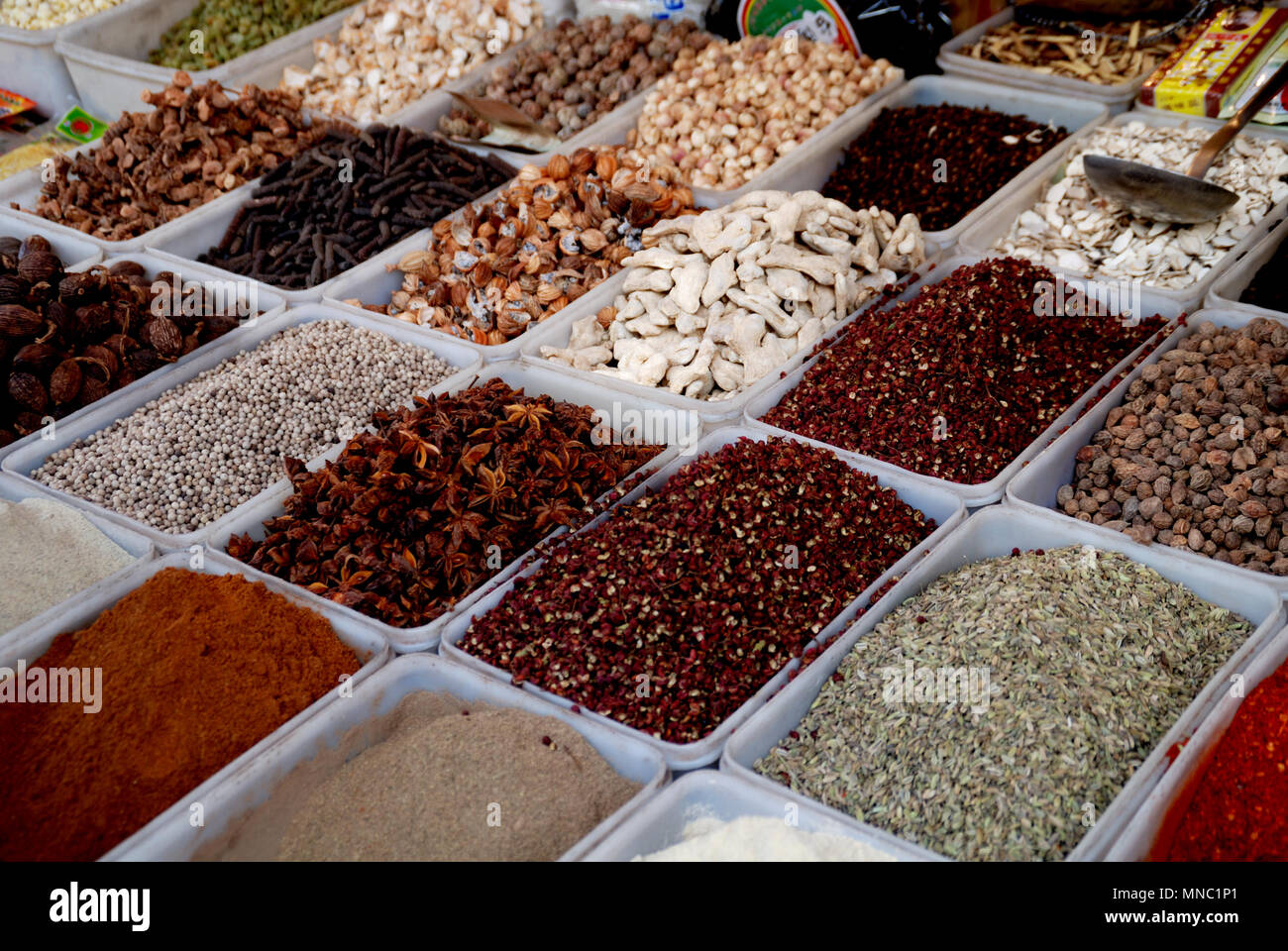 Any of various pungent, aromatic plant substances, such as cinnamon or ...