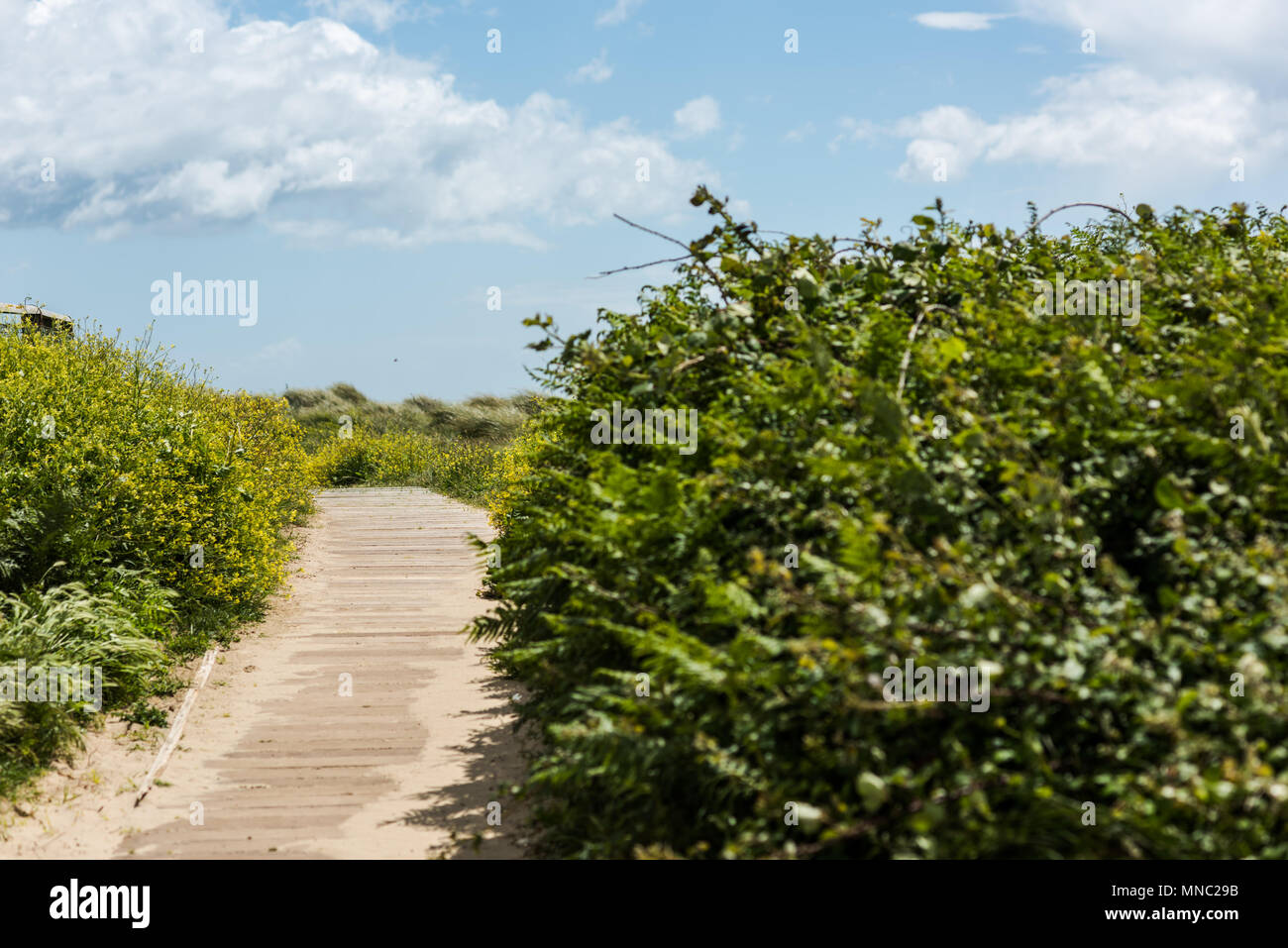 Southbourne Beach Dorset, South Coast England Stock Photo - Alamy