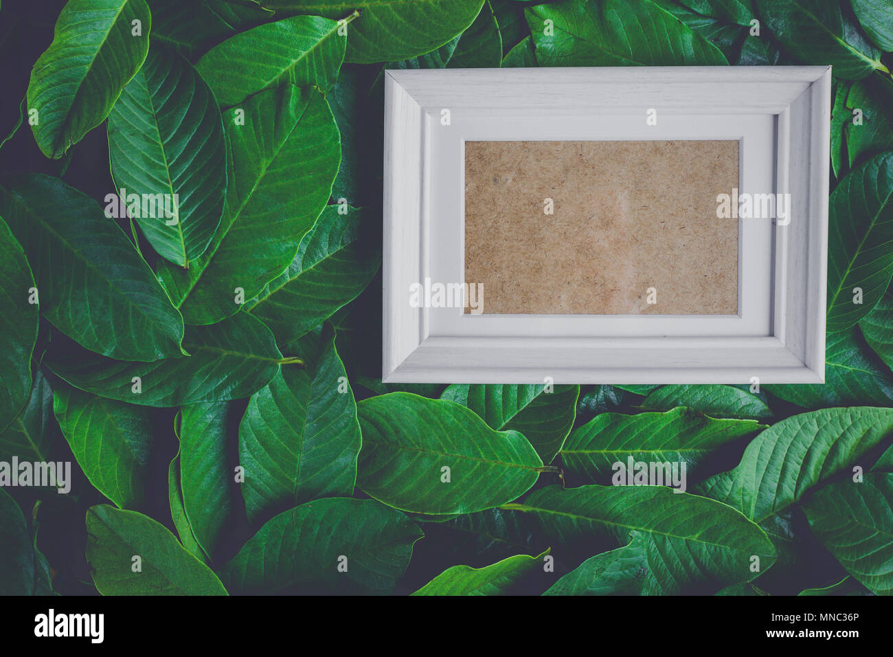 Creative frame made of leaves with frame picture . Flat lay Nature ...