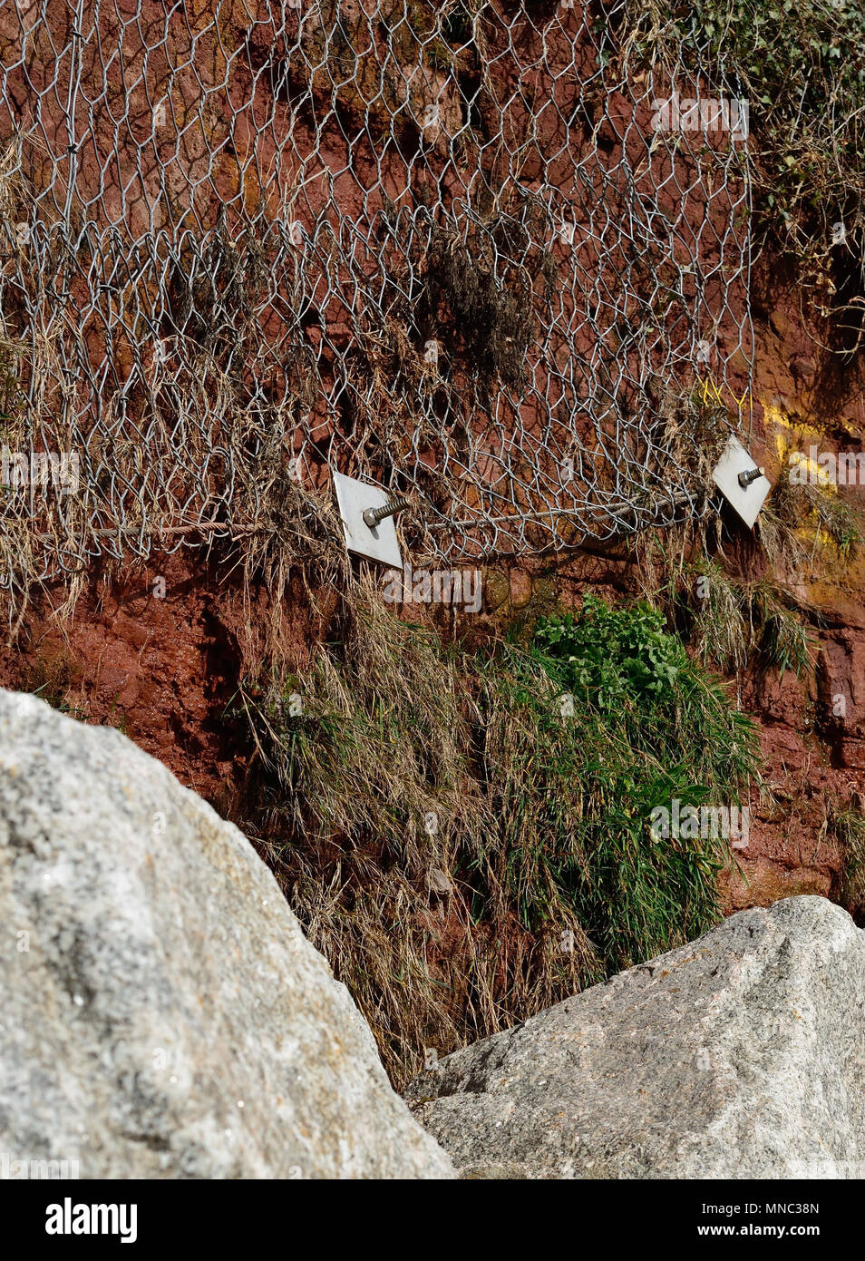 Rock bolts and netting supporting red sandstone cliffs at Hollicombe ...
