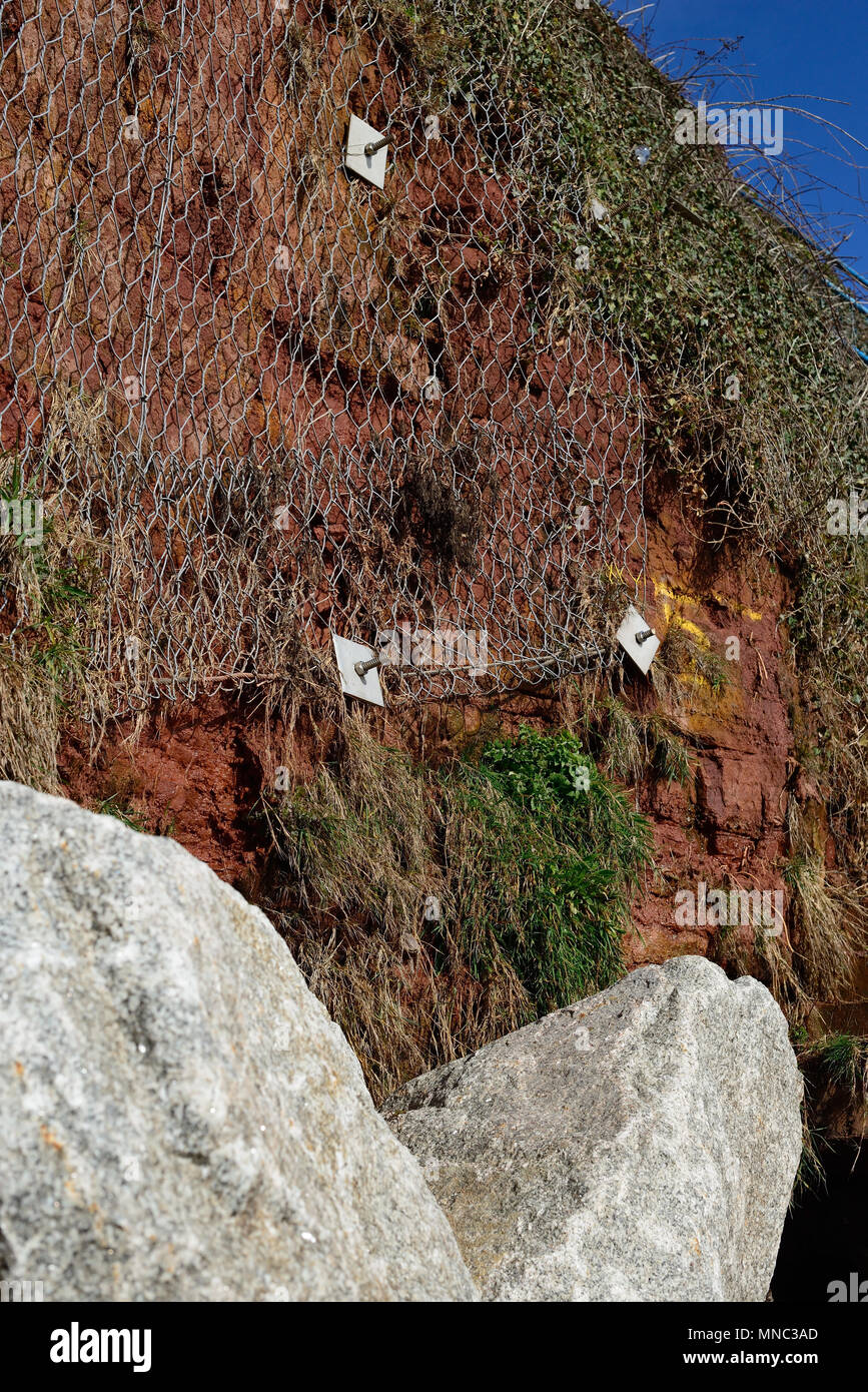 Rock bolts and netting supporting red sandstone cliffs at Hollicombe ...