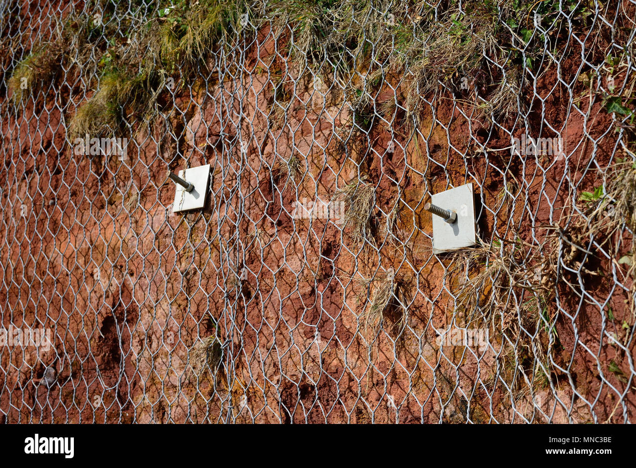 Rock bolts and netting supporting red sandstone cliffs at Hollicombe ...