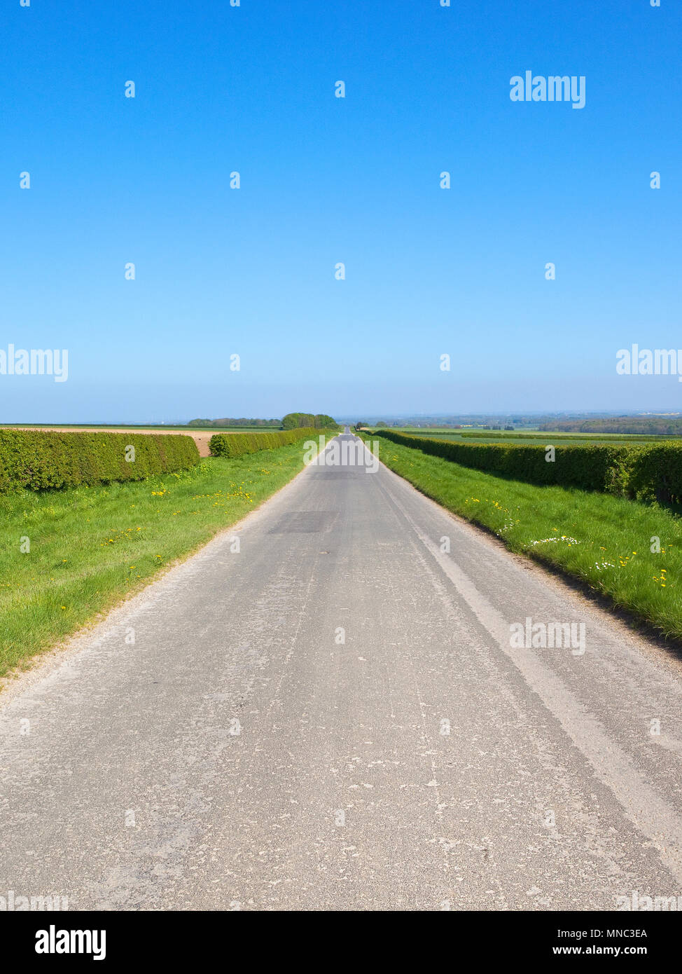 a straight upland road with grass verges and hawthorn hedgerow ...