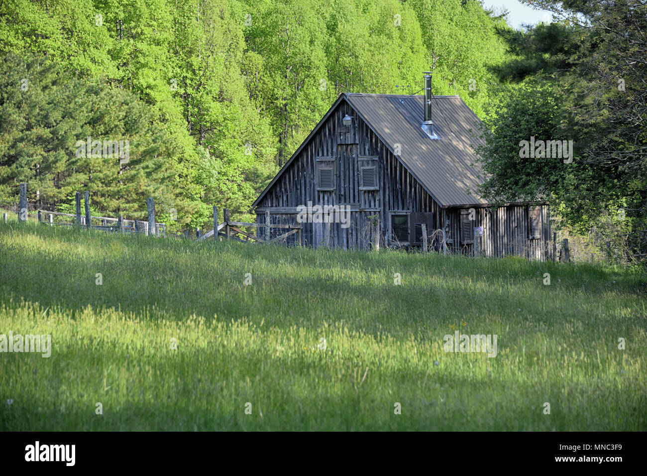 "The Recluse" American Tour Series a weathered old house surrounded by ...