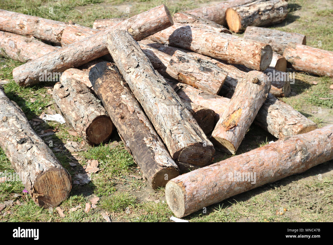 The concept of fuelwood for heating Stock Photo - Alamy