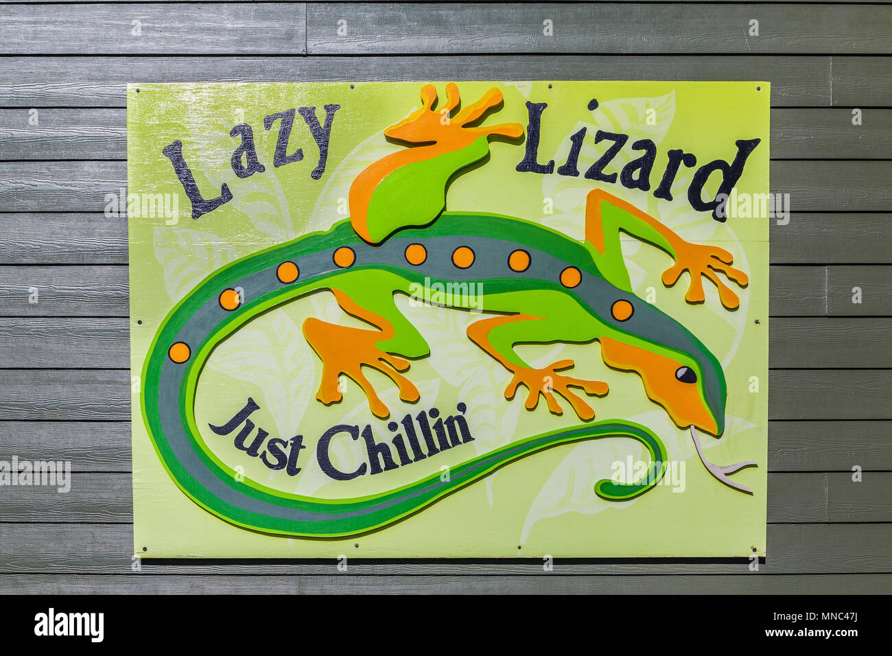 Lazy Lizard Sign High Resolution Stock Photography and Images - Alamy