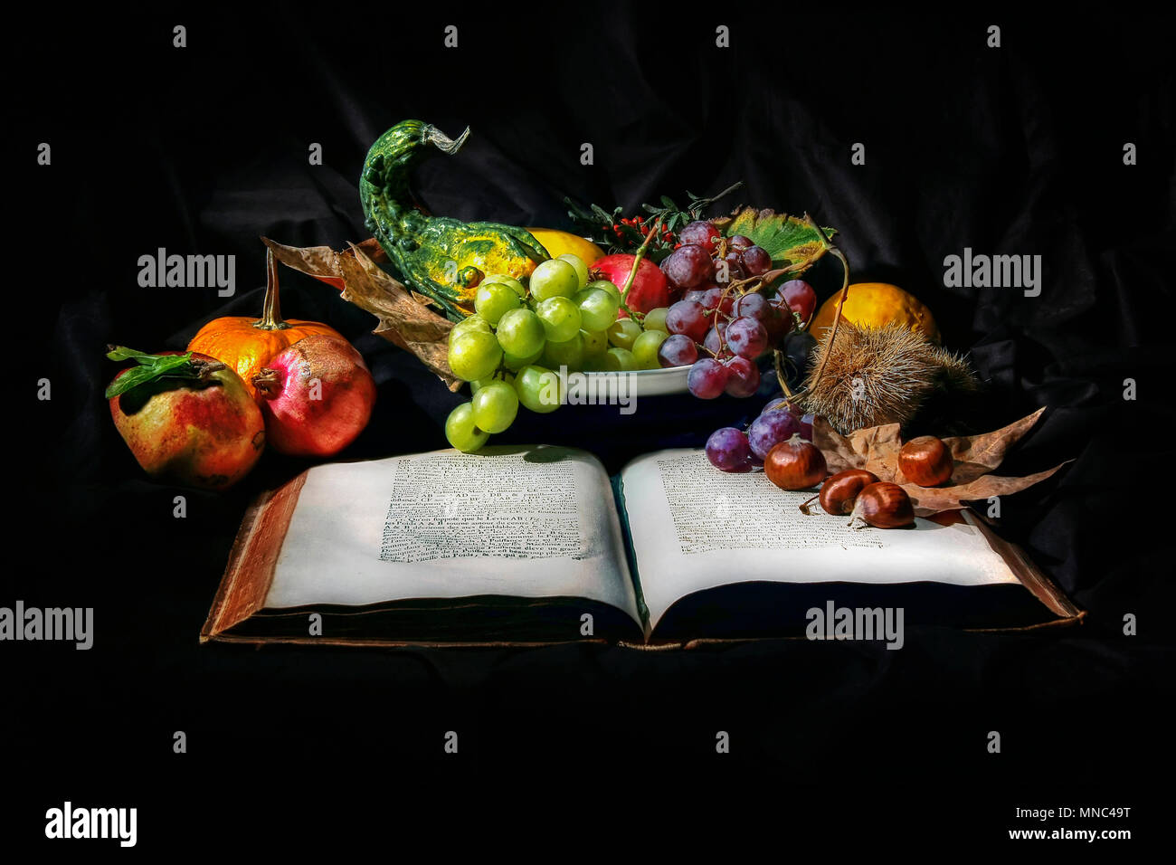 Shell still life painting hi-res stock photography and images - Alamy