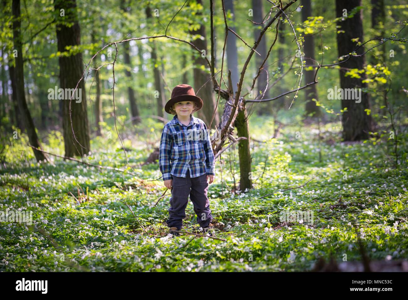 Young happy caucasian boy playing in spring forest. Small boy posing in ...
