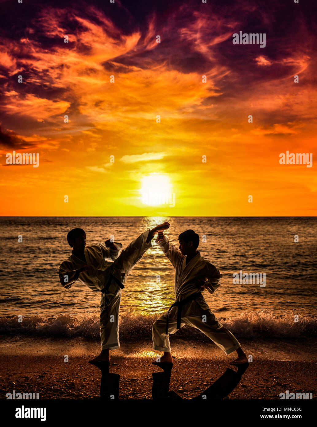 Image composite of Japanese karate athletes Stock Photo - Alamy