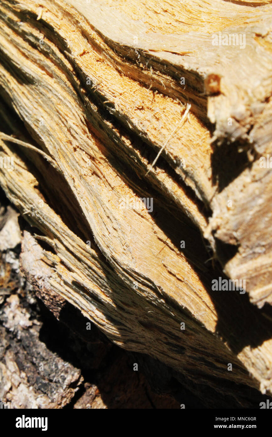 Jagged Edges Stock Photos & Jagged Edges Stock Images - Alamy