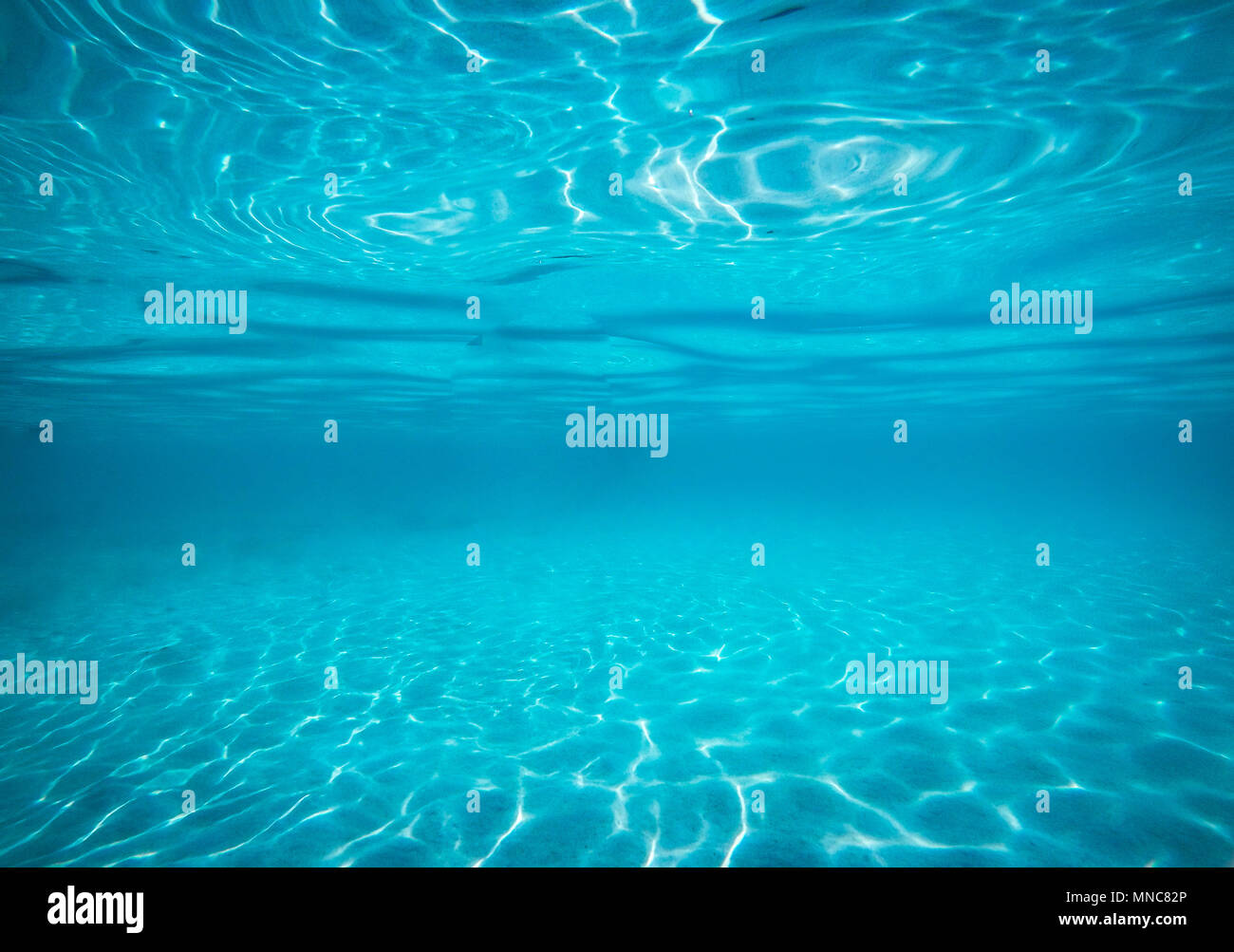 Underwater sea clear water Bright blue Stock Photo - Alamy