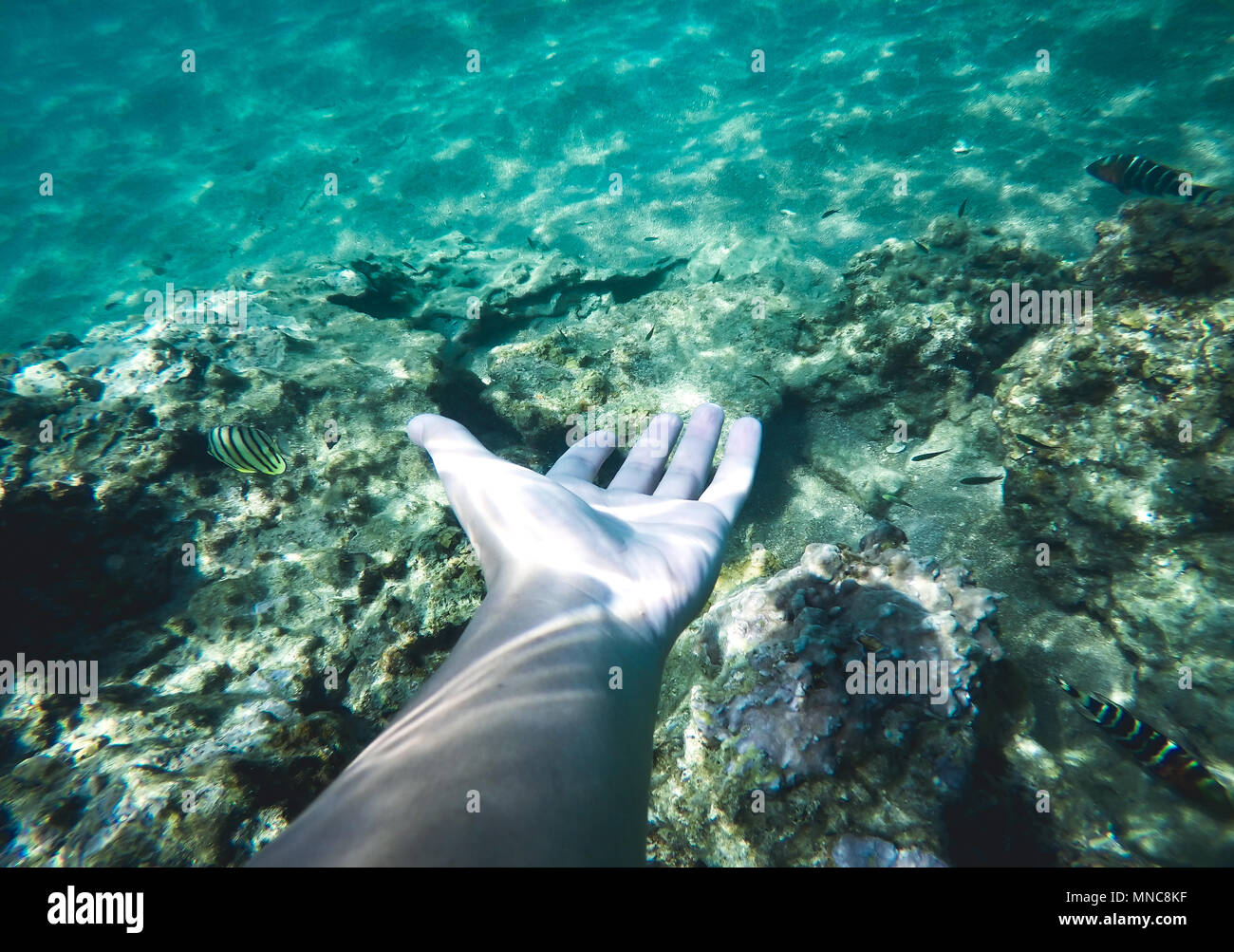 Underwater sea clear water Bright blue Stock Photo - Alamy