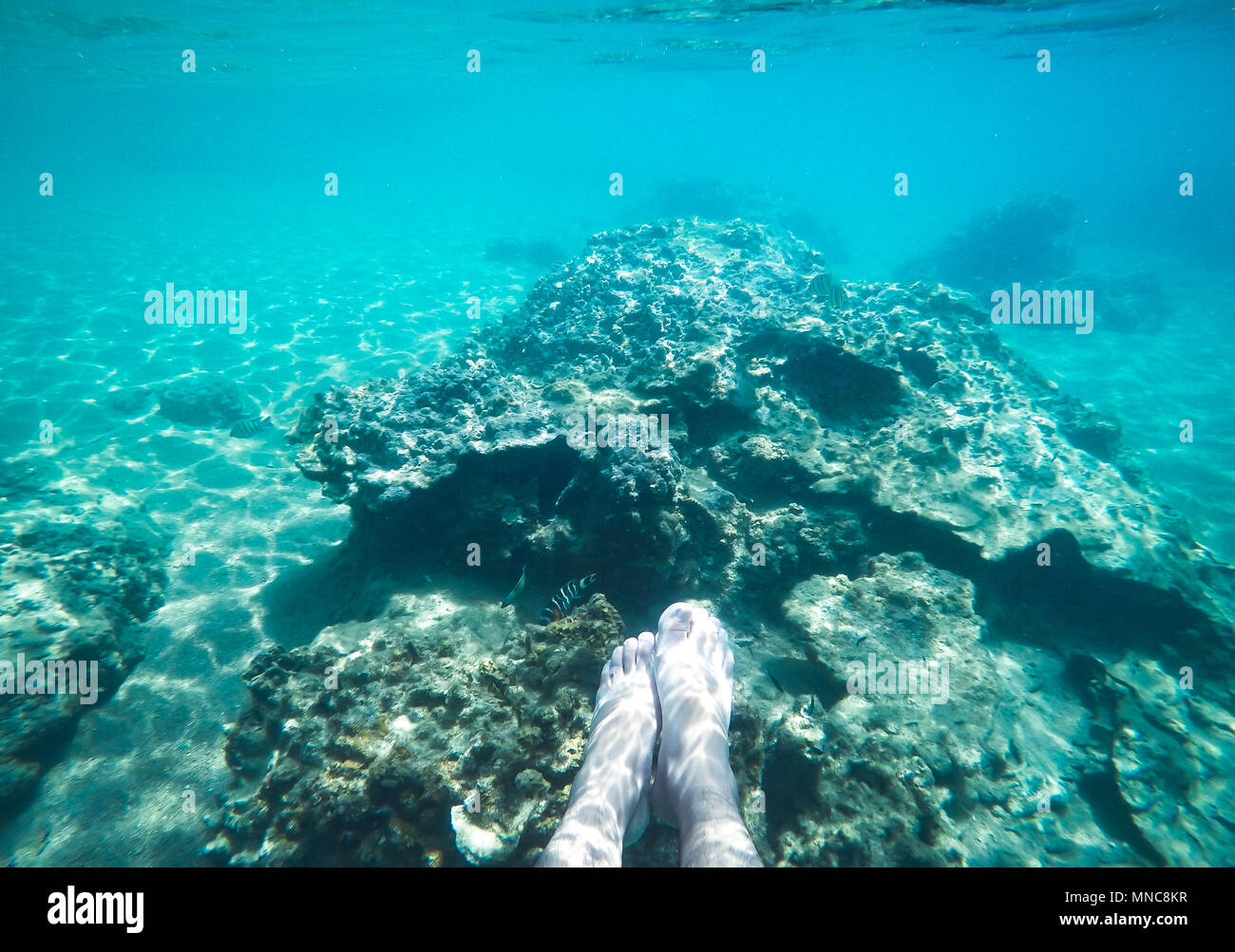 Underwater sea clear water Bright blue Stock Photo - Alamy