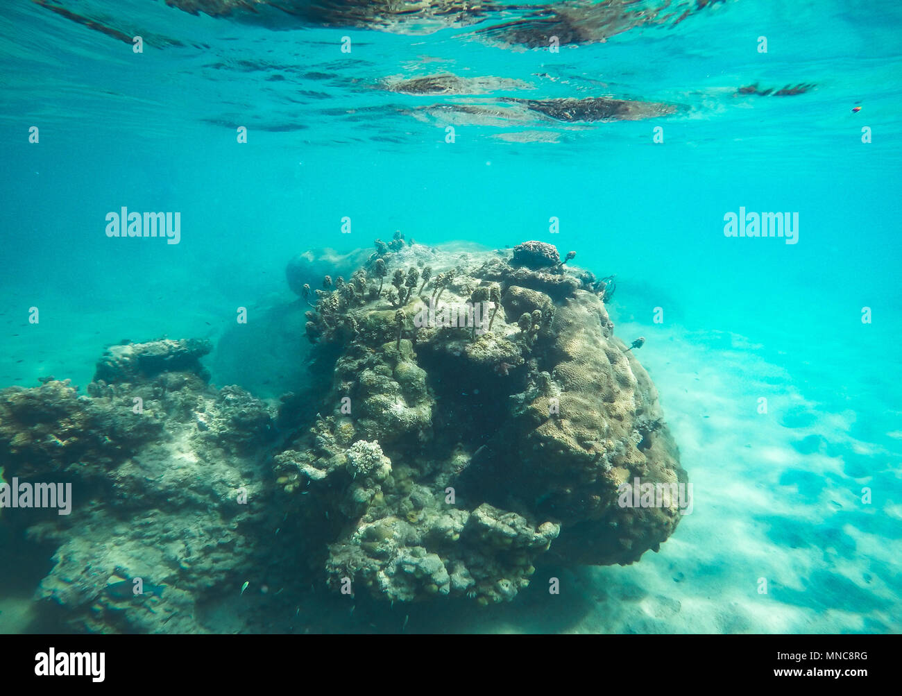 Underwater sea clear water Bright blue Stock Photo - Alamy