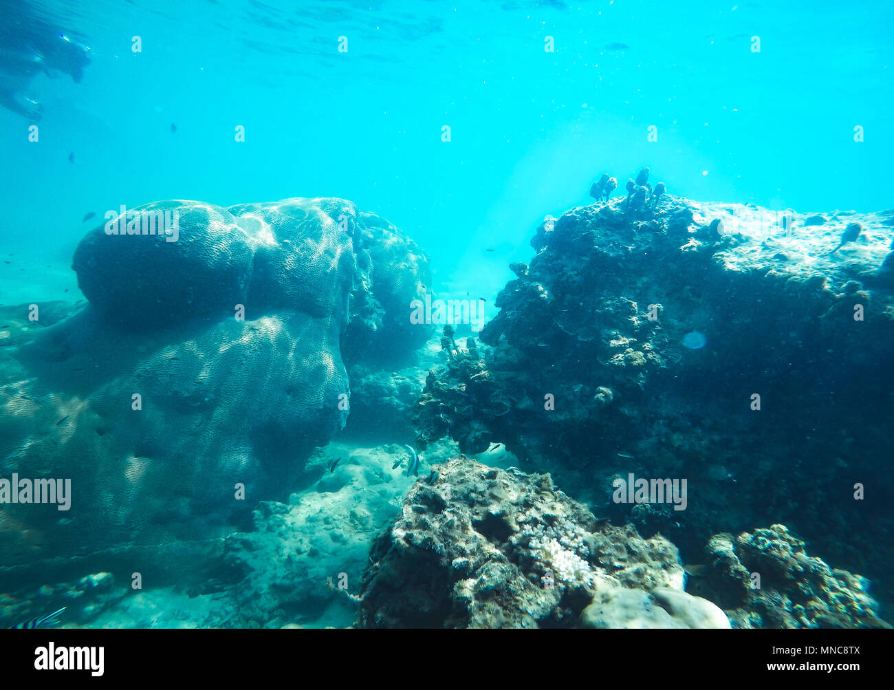 Underwater sea clear water Bright blue Stock Photo - Alamy