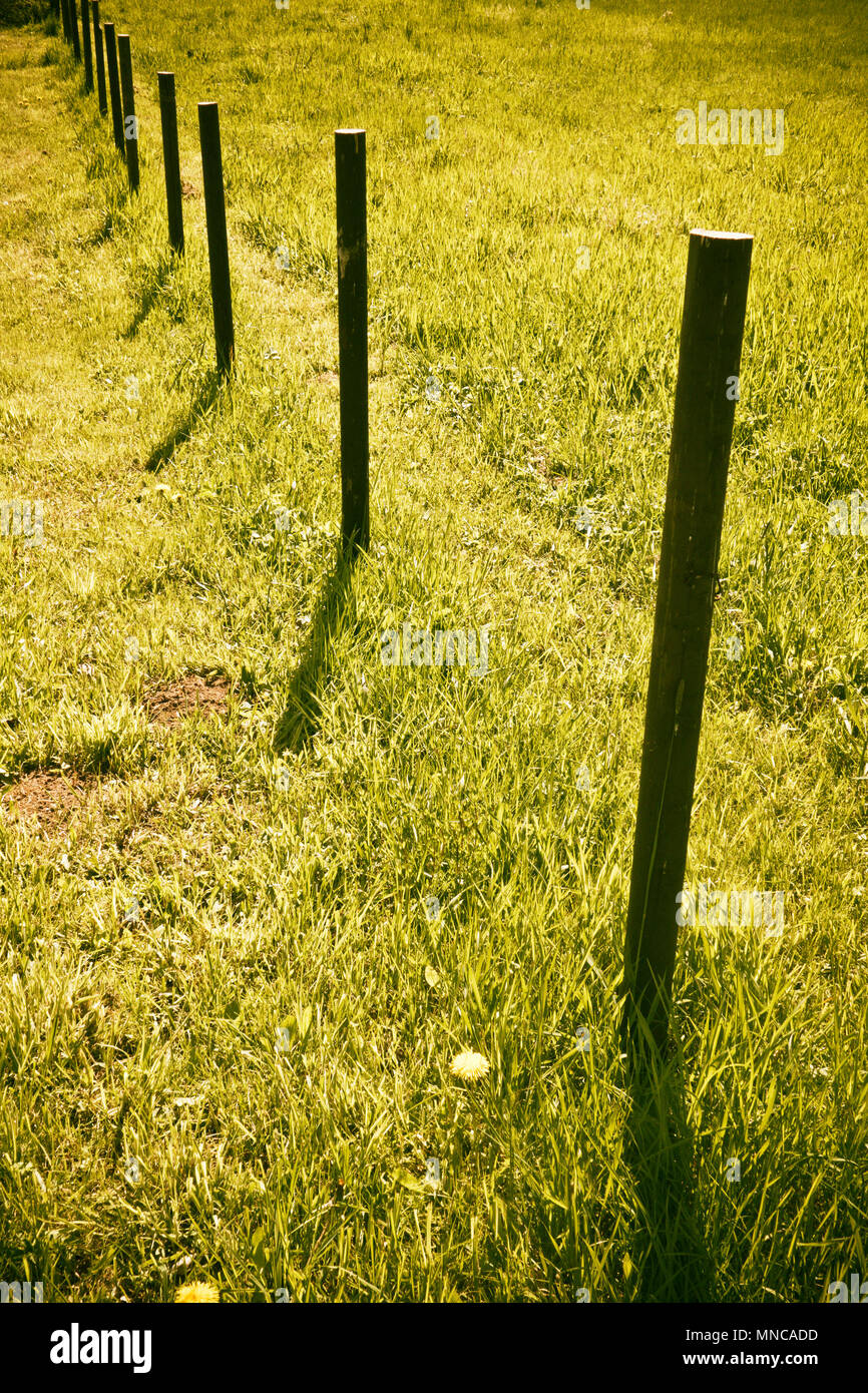 line of stakes to delimit land Stock Photo - Alamy