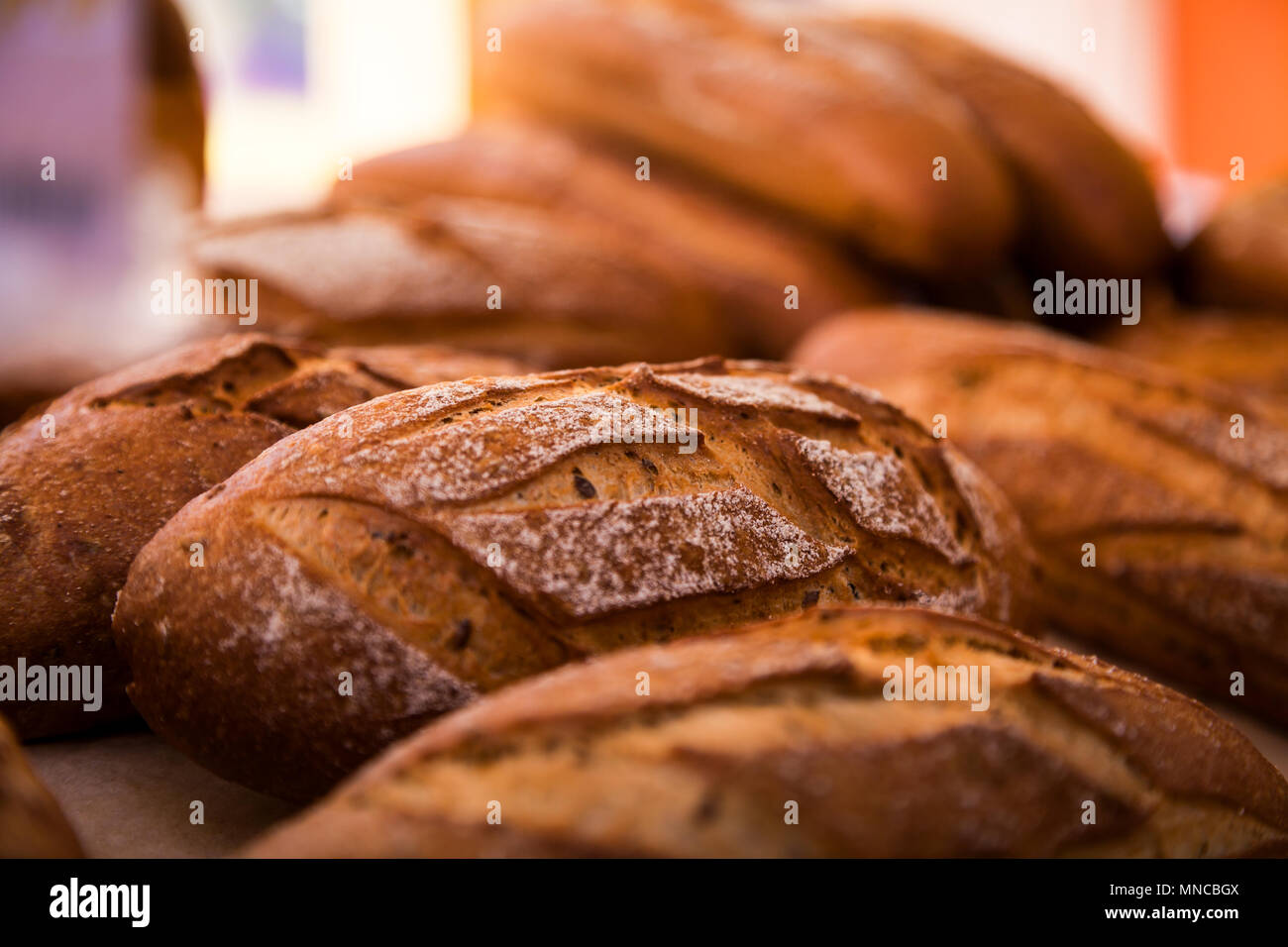 Close-up of fresh white bread in rolls stands in even rows in a bakery ...