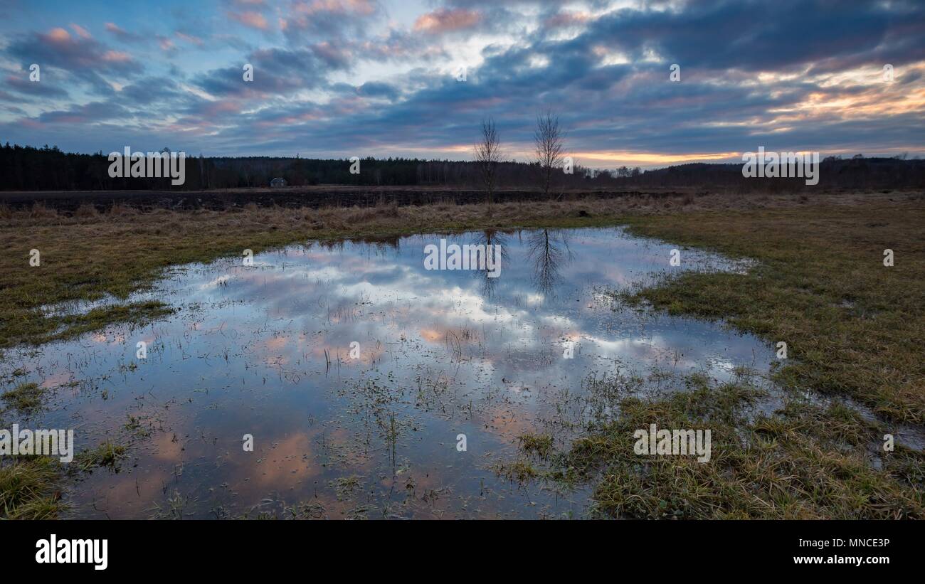Beautiful springtime landscape with fields, puddle and sky Stock Photo ...