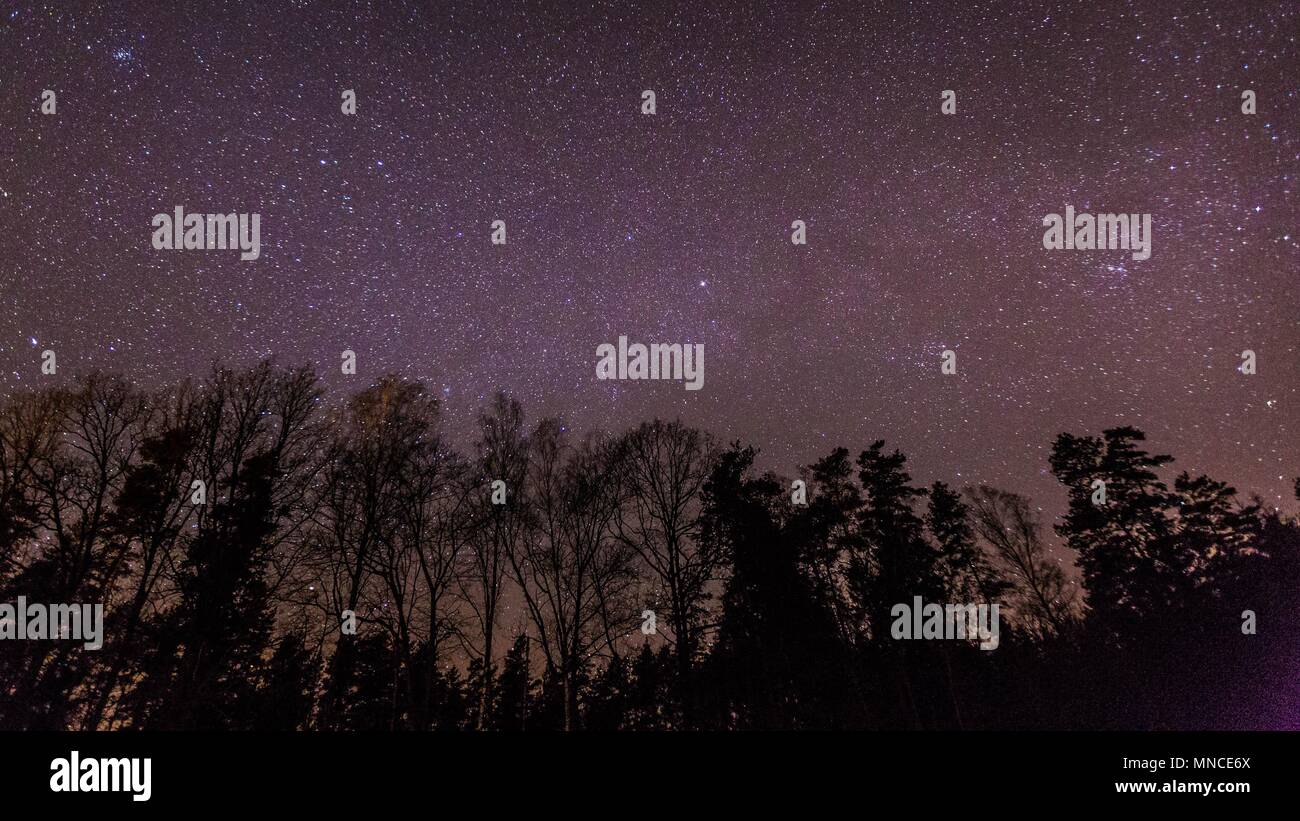 Night starry sky with milky way over forest in springtime Stock Photo ...