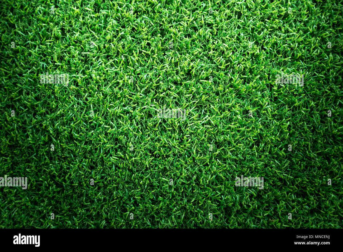 Grass field texture for golf course, soccer field or sports background ...