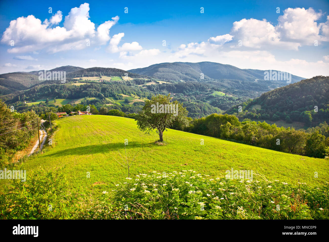 Midle season hi-res stock photography and images - Alamy