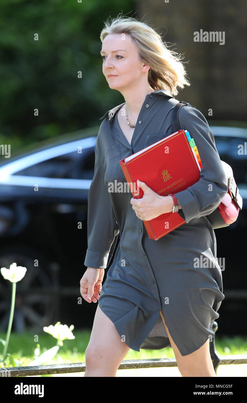 London, UK, 15th May, 2018. Elizabeth Truss, Chief Secretary to the ...