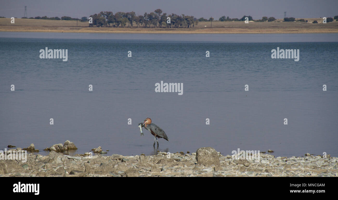 Delareyville hi-res stock photography and images - Alamy