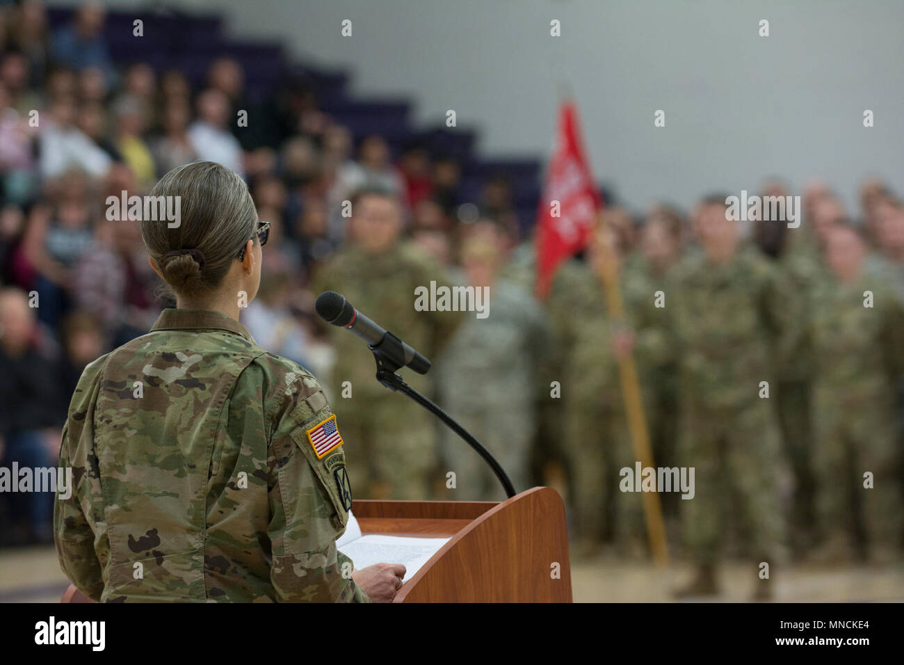 Col. Michelle Link, commander of the 372nd Engineer Brigade, addresses ...