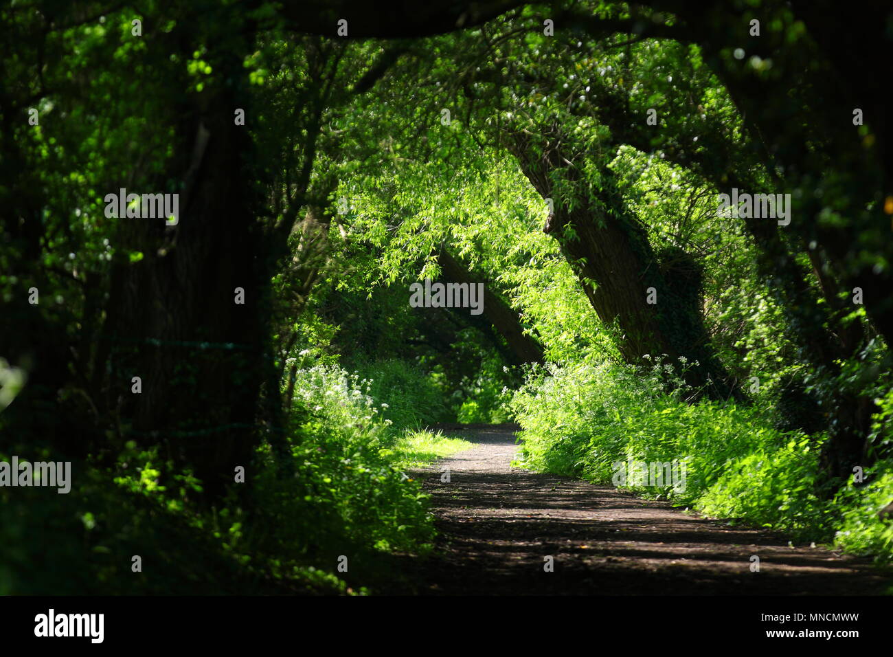 Beautiful footpath in Swillington, Leeds Stock Photo - Alamy