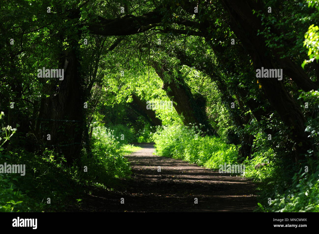 Beautiful walks in leeds hi-res stock photography and images - Alamy