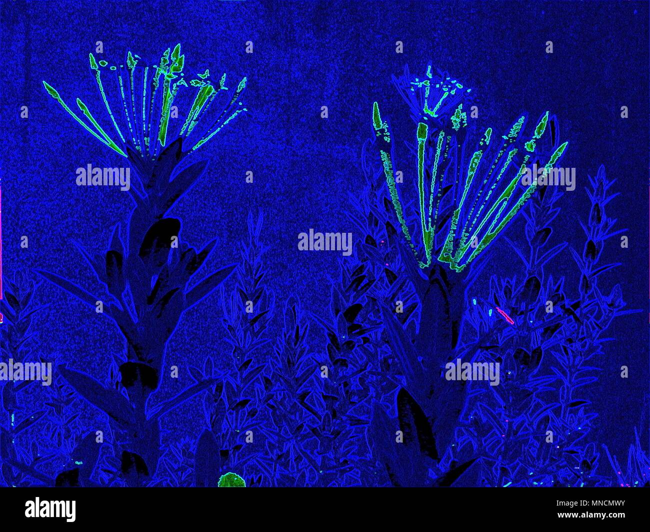 Abstract modern natural background Stock Photo - Alamy