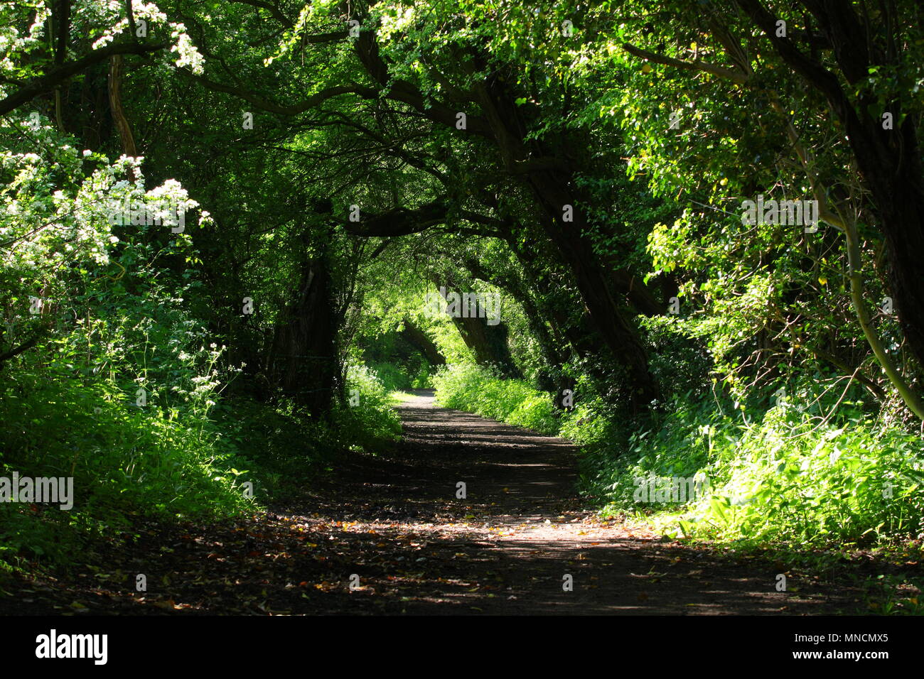 Footpaths Around Leeds High Resolution Stock Photography and Images - Alamy