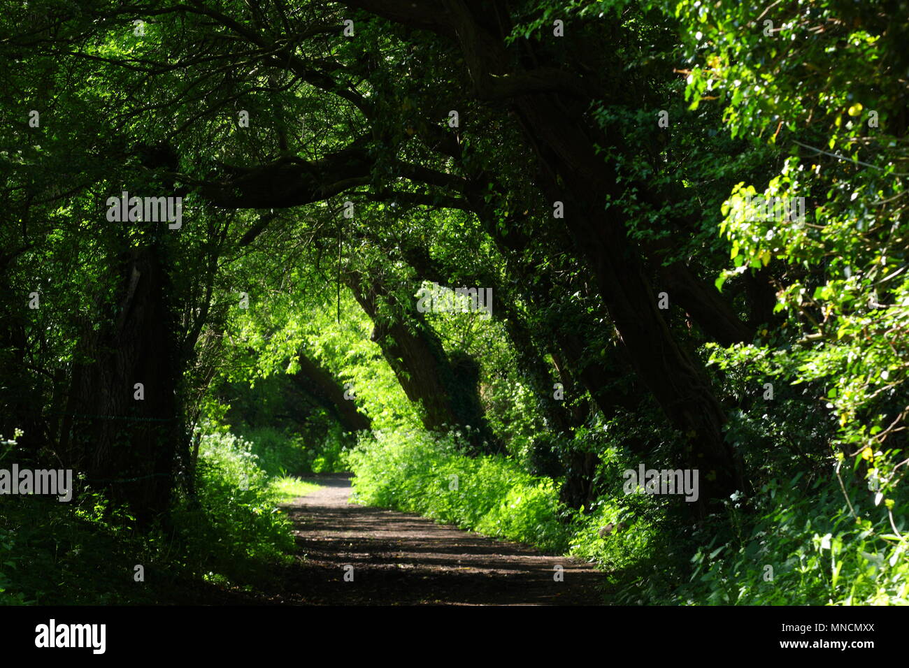 Beautiful walks hi-res stock photography and images - Alamy