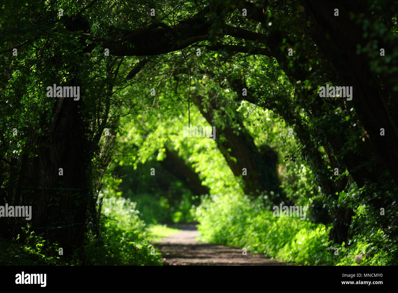 Beautiful walks hi-res stock photography and images - Alamy