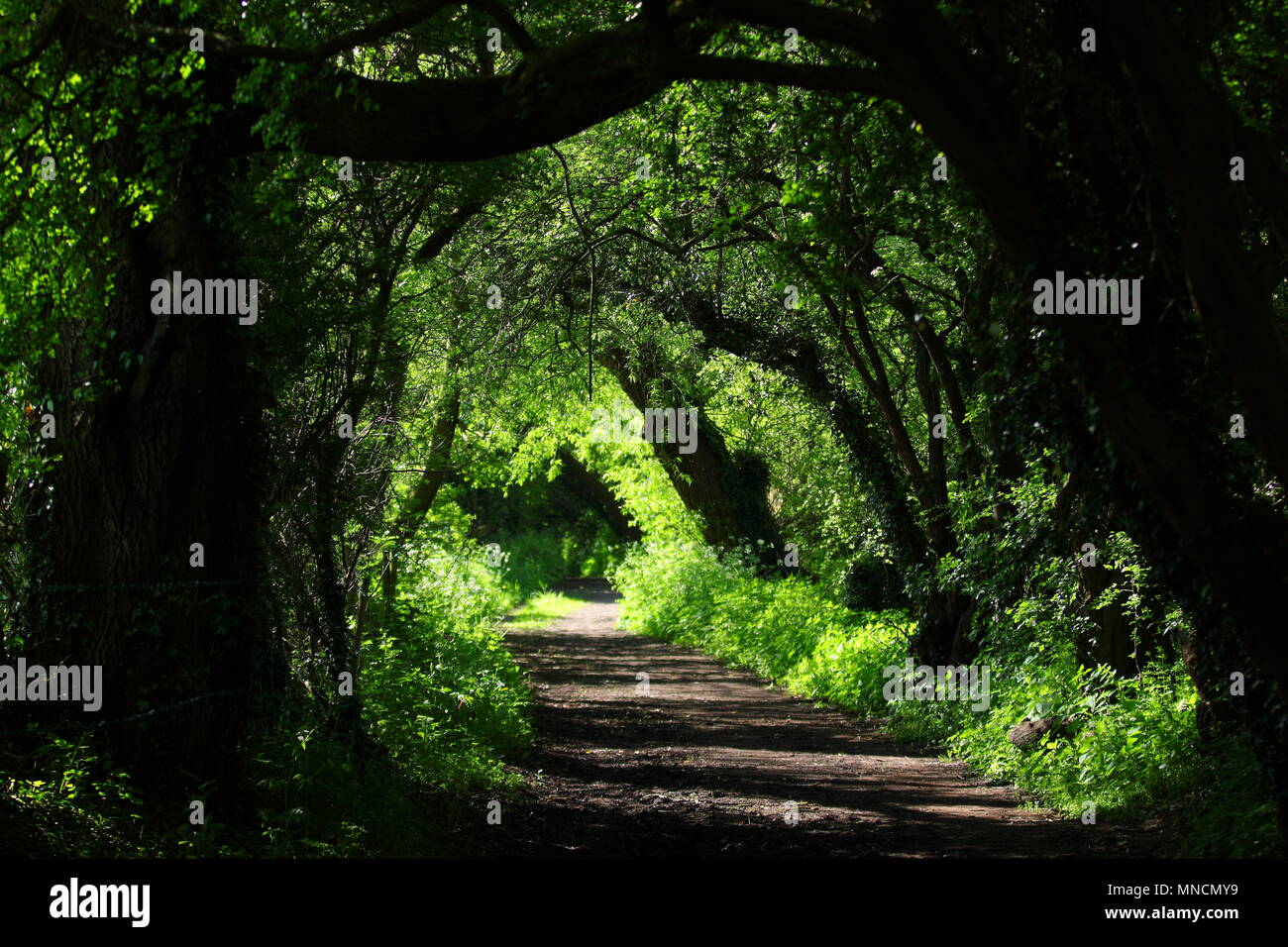 Footpaths around leeds hi-res stock photography and images - Alamy