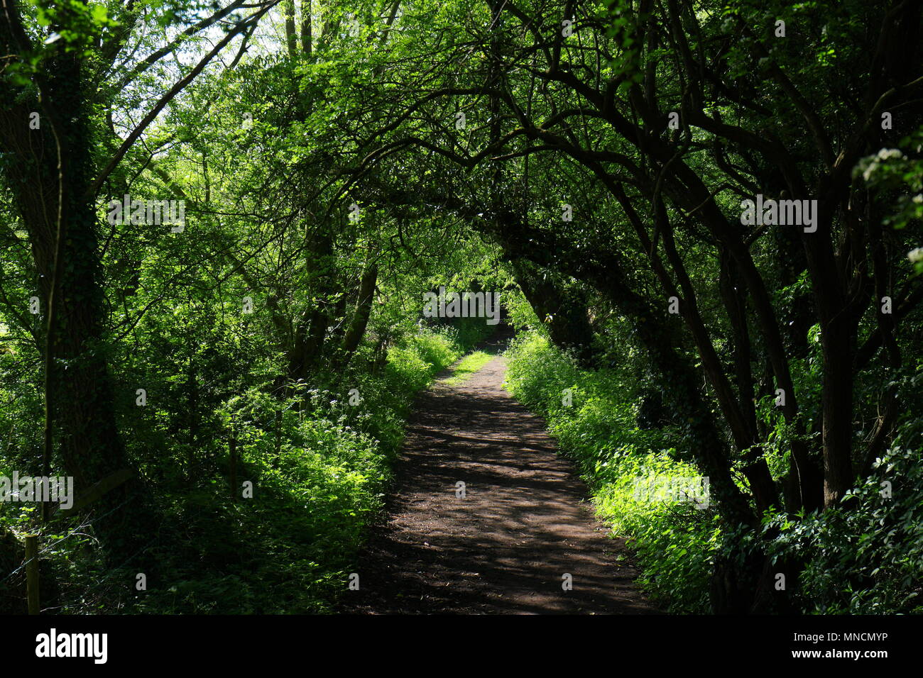 Footpaths Around Leeds High Resolution Stock Photography and Images - Alamy