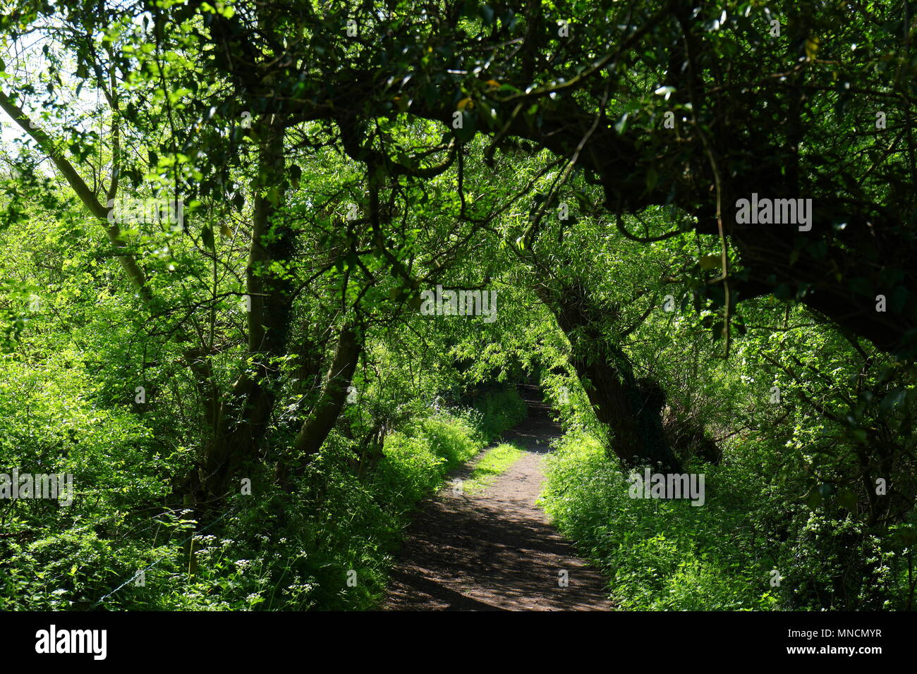 Footpaths Around Leeds High Resolution Stock Photography and Images - Alamy