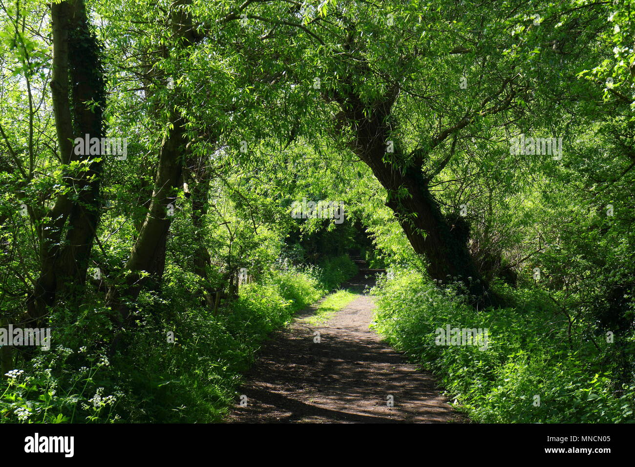 Footpaths around leeds hi-res stock photography and images - Alamy