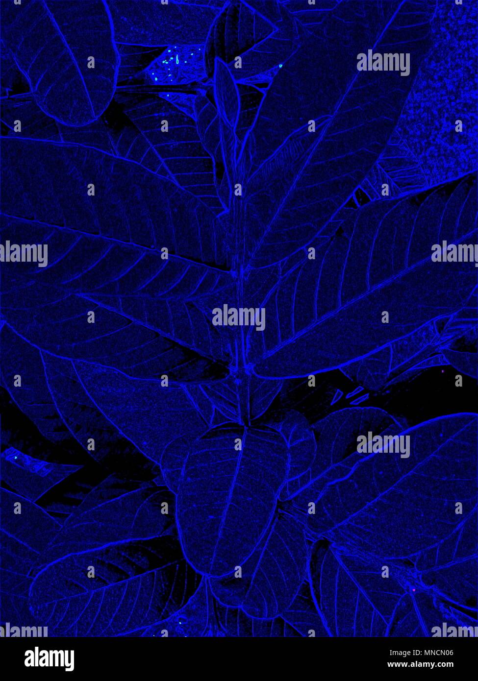 Abstract modern natural background Stock Photo - Alamy