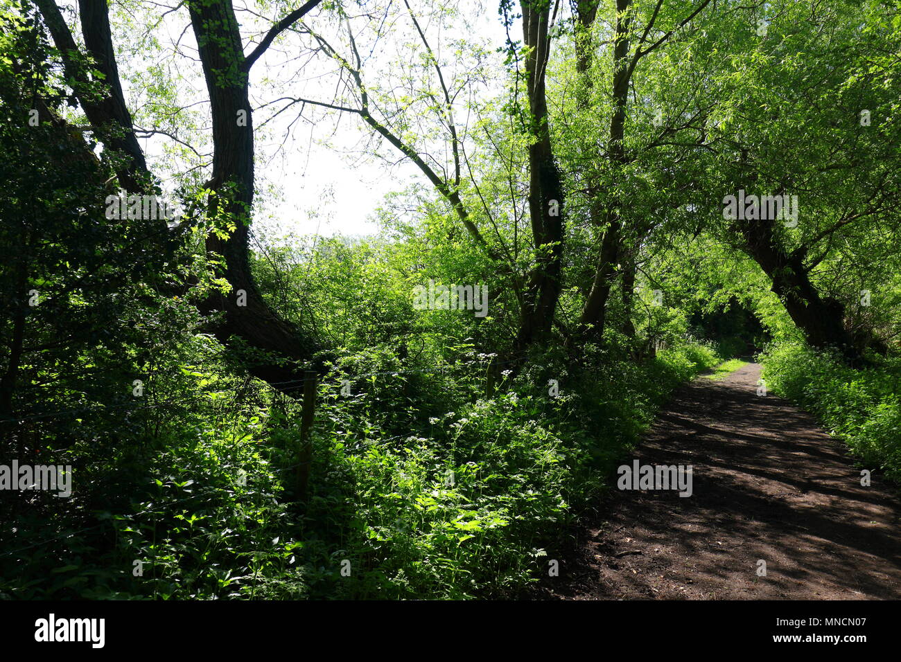 Footpaths Around Leeds High Resolution Stock Photography and Images - Alamy