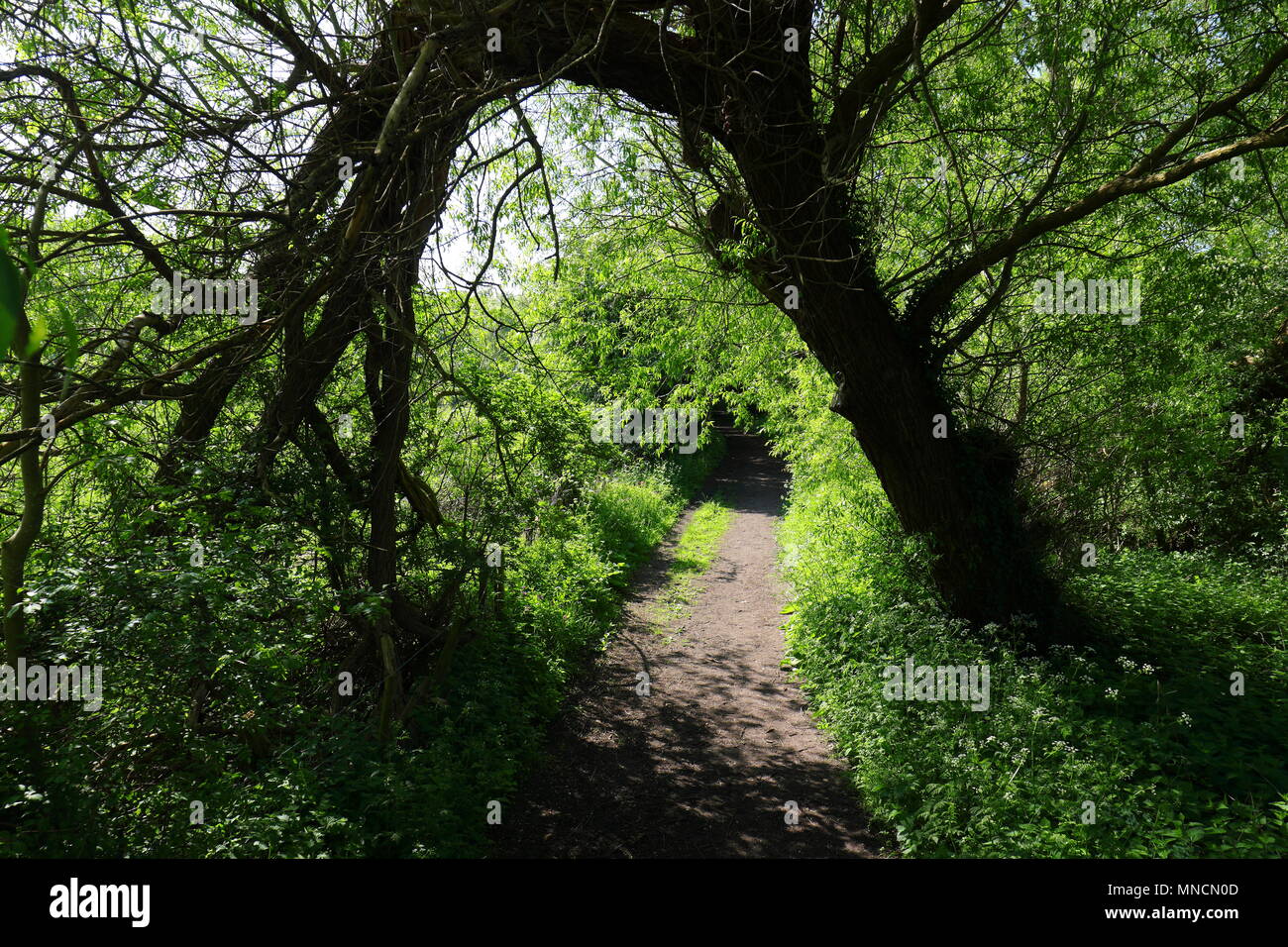 Beautiful walks hi-res stock photography and images - Alamy