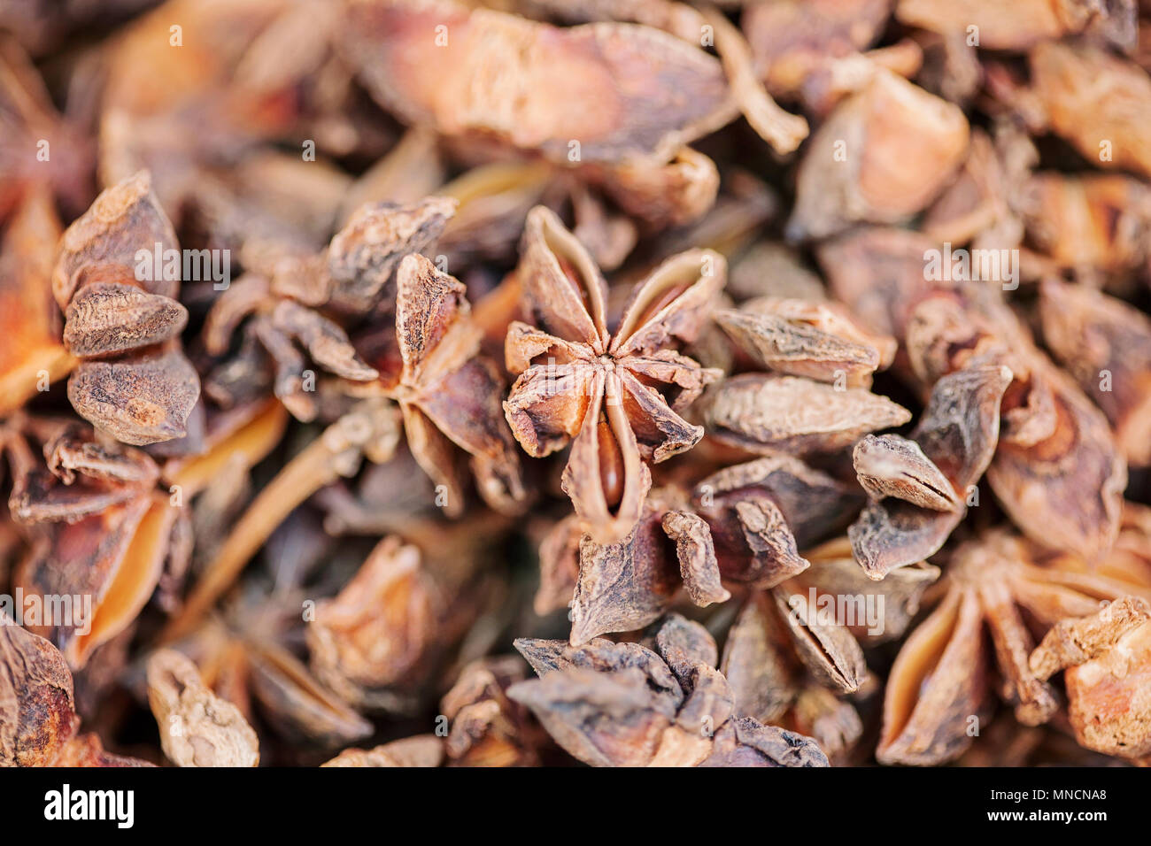 Star Anise seed background Stock Photo - Alamy