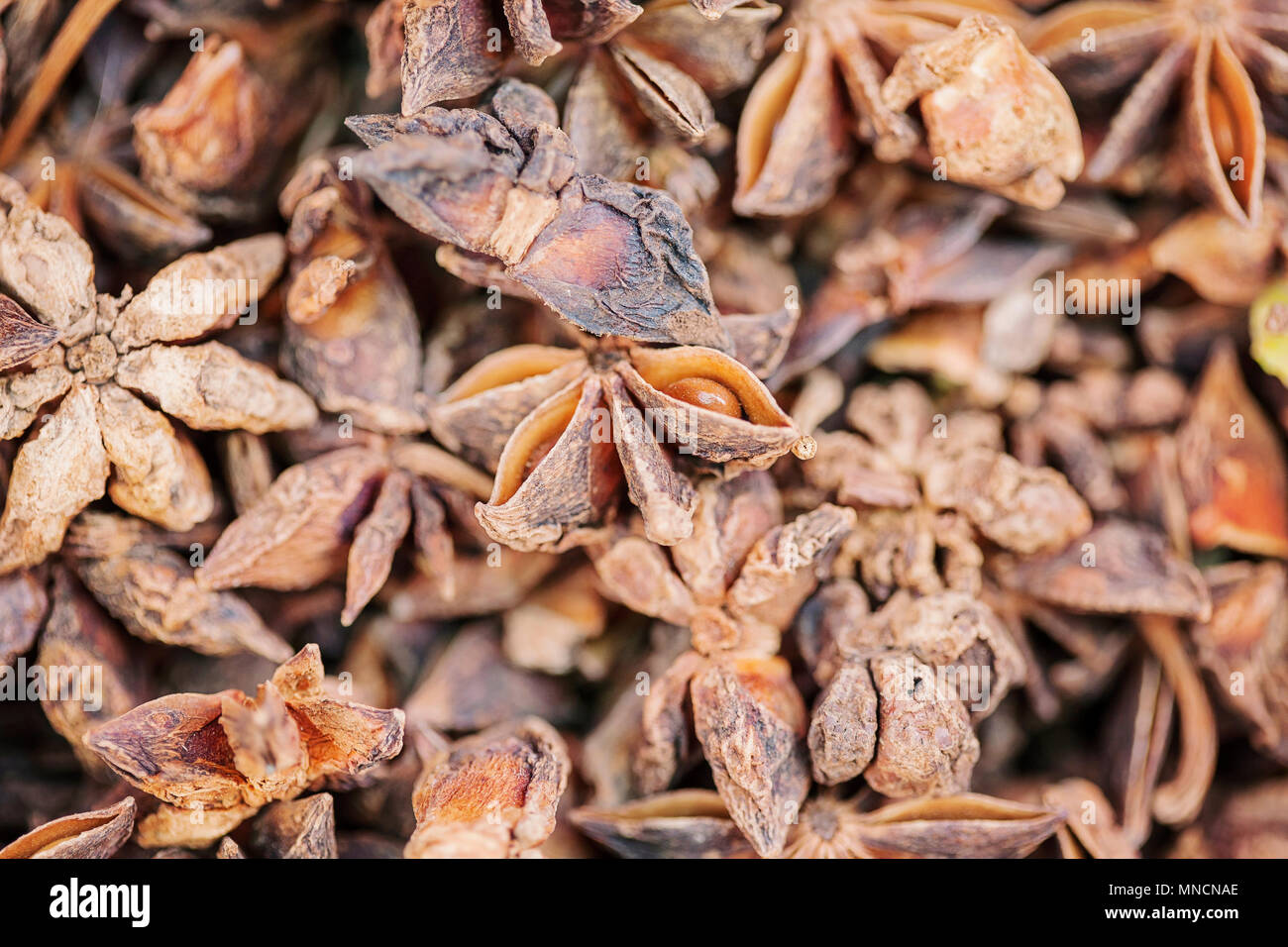 Star Anise seed background Stock Photo - Alamy