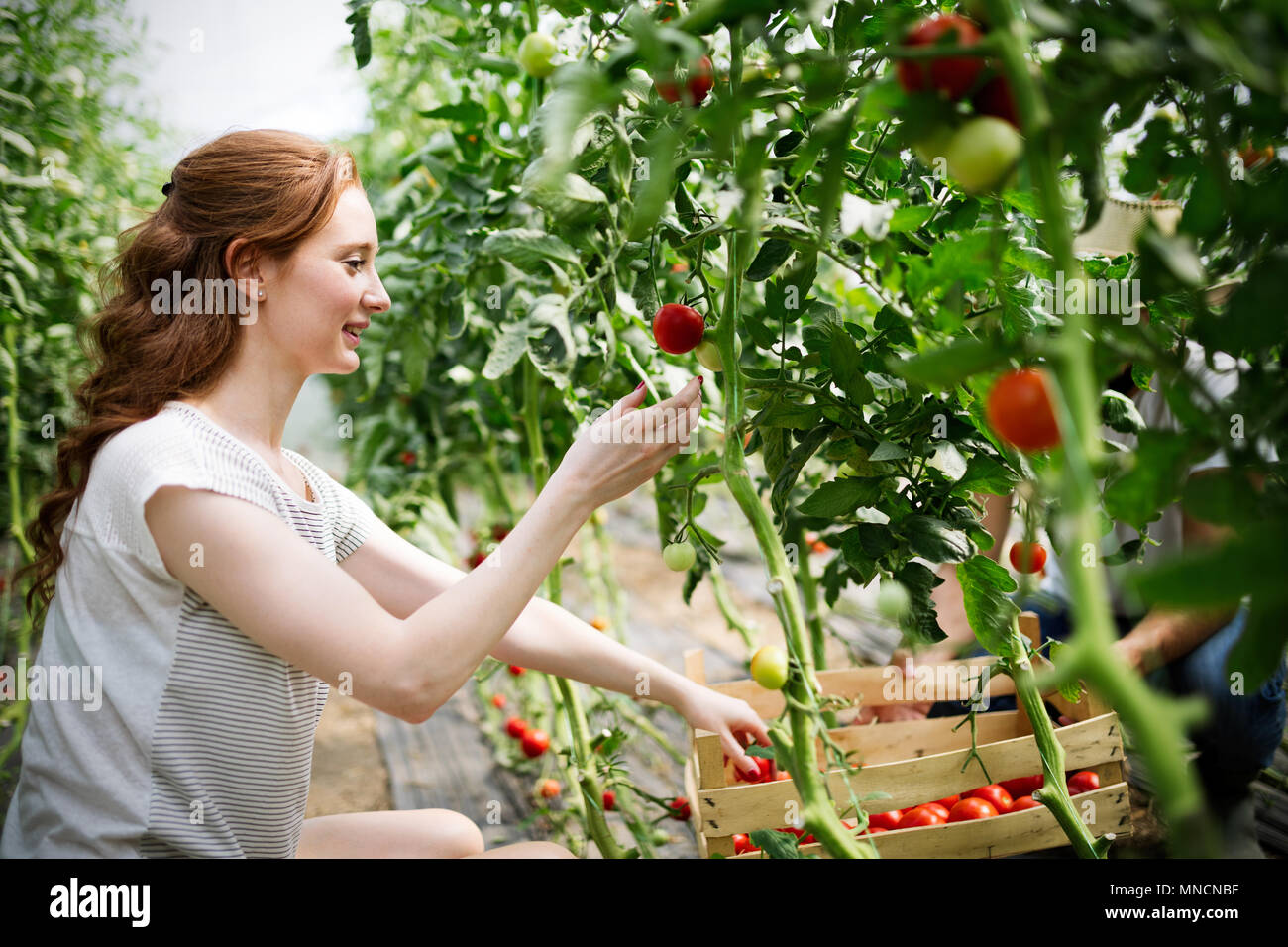 Happy gardener hi-res stock photography and images - Alamy