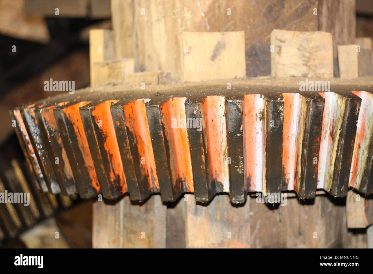 Wood cog hi-res stock photography and images - Alamy