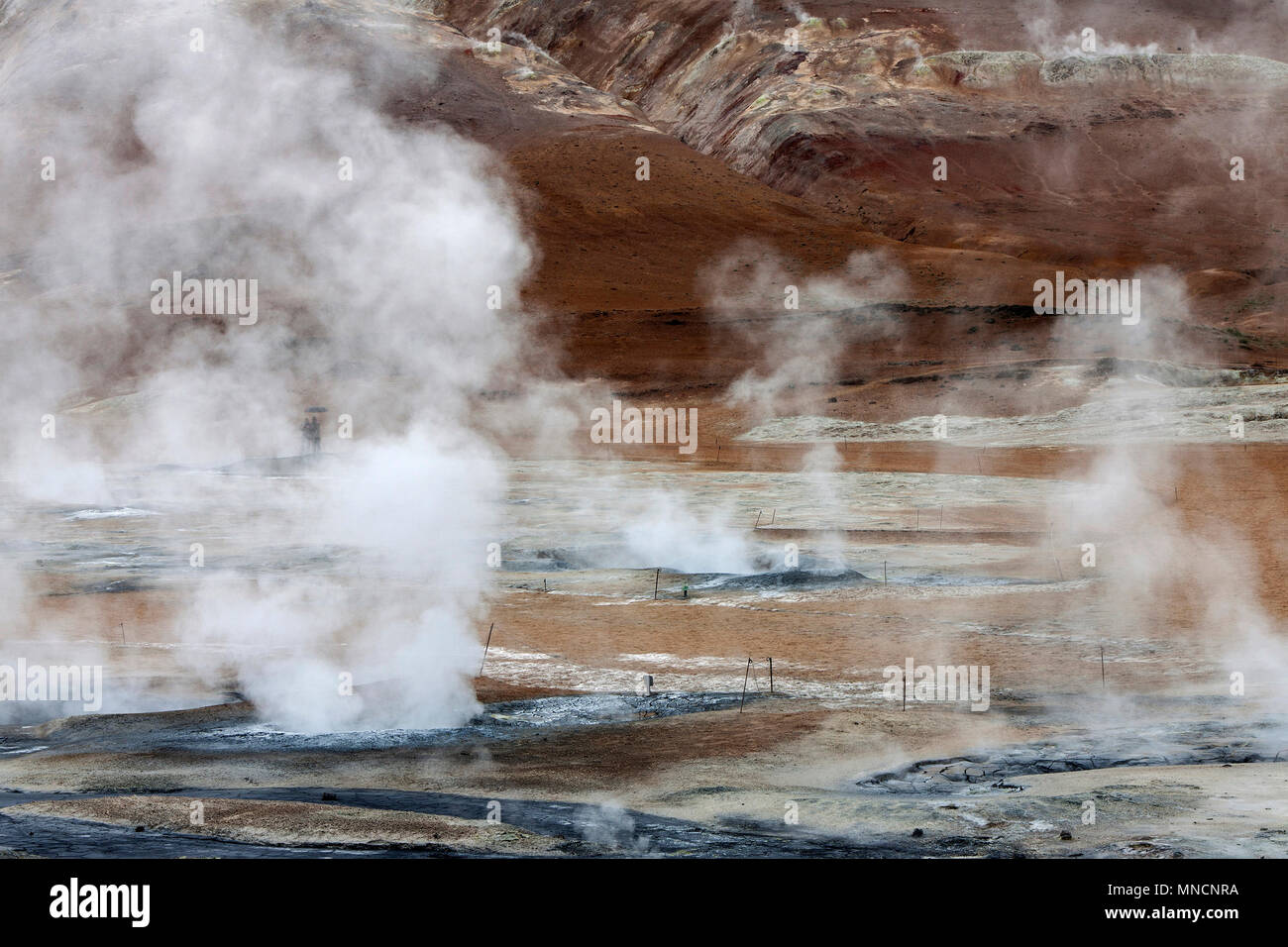Steaming fumaroles, solfatars, solfataren field at Námafjall volcano ...