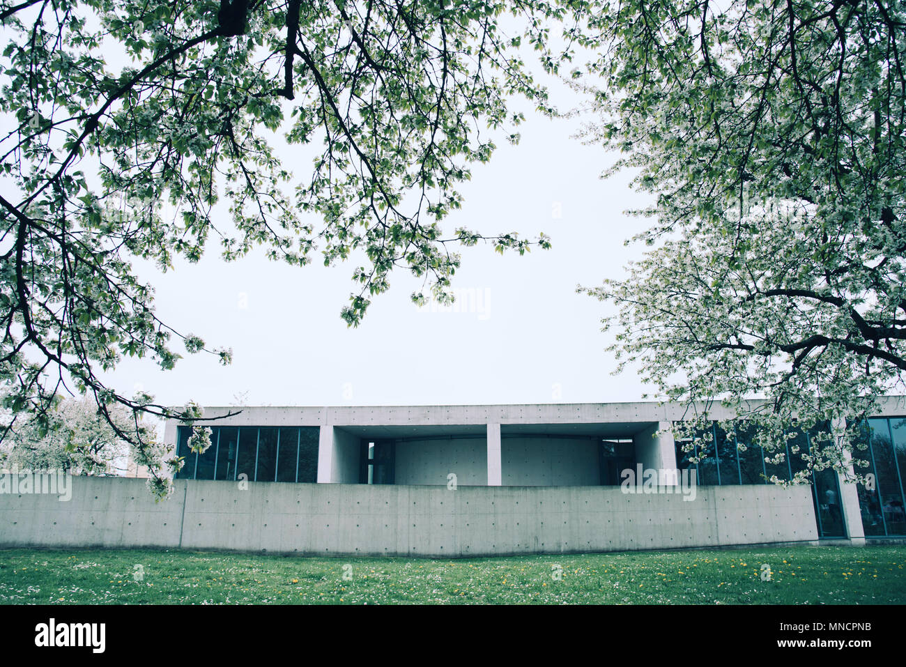 Tadao ando building hi-res stock photography and images - Alamy