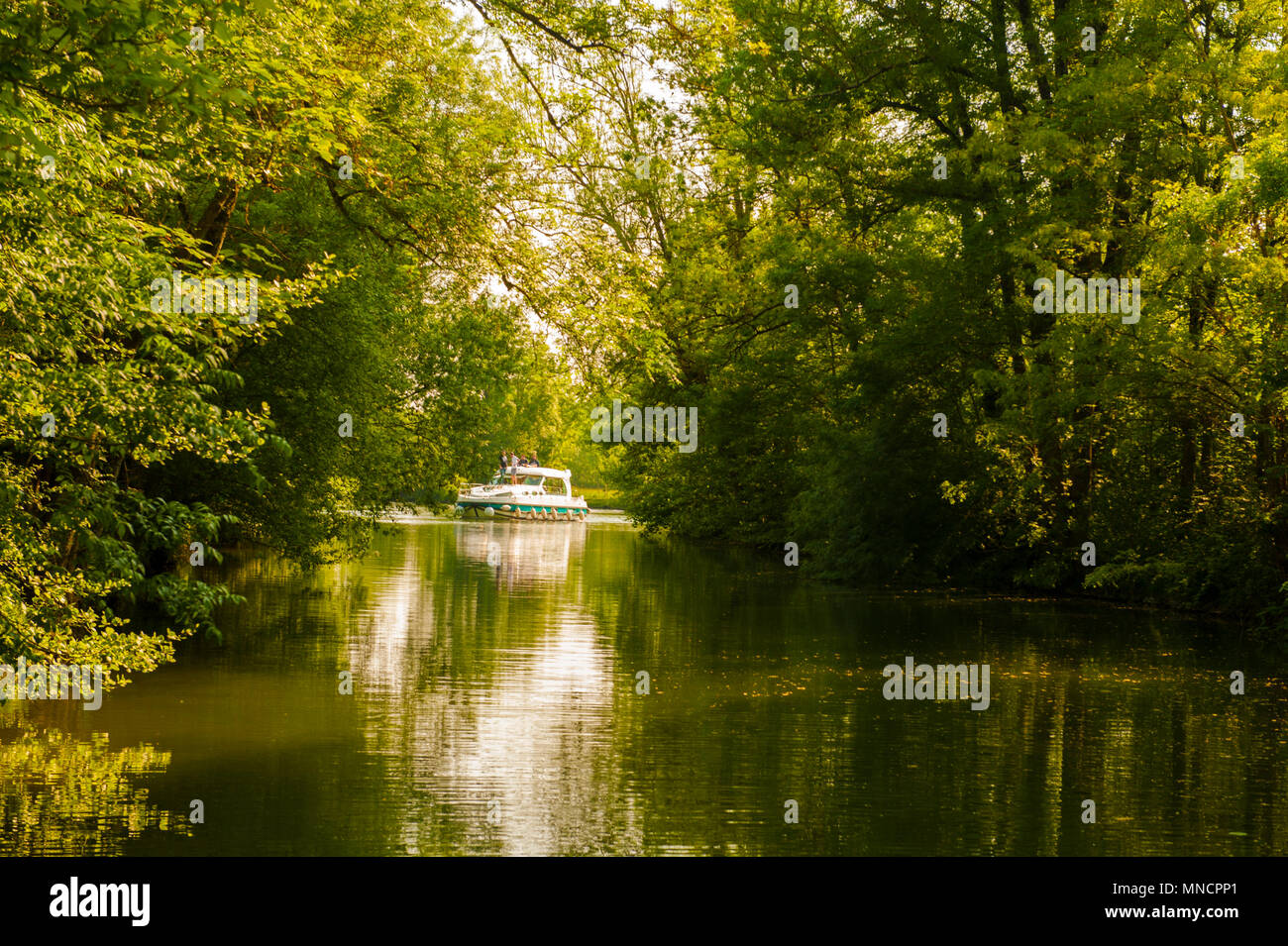 Boating on the Charente river near Vibrac is like passing through green ...